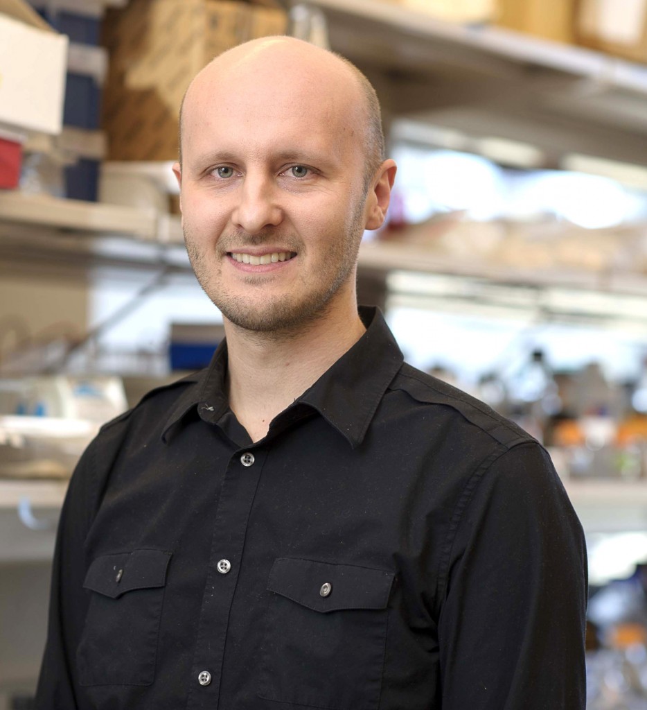 The Hope Funds for Cancer Research » 2014 Grantees